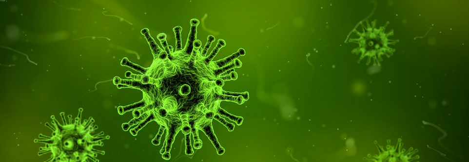 Computer viruses 101; part 1 - Koofr blog